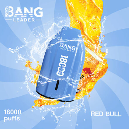 Bang Leader 18K – Pocket-Friendly Single-Flavor Disposable Vape